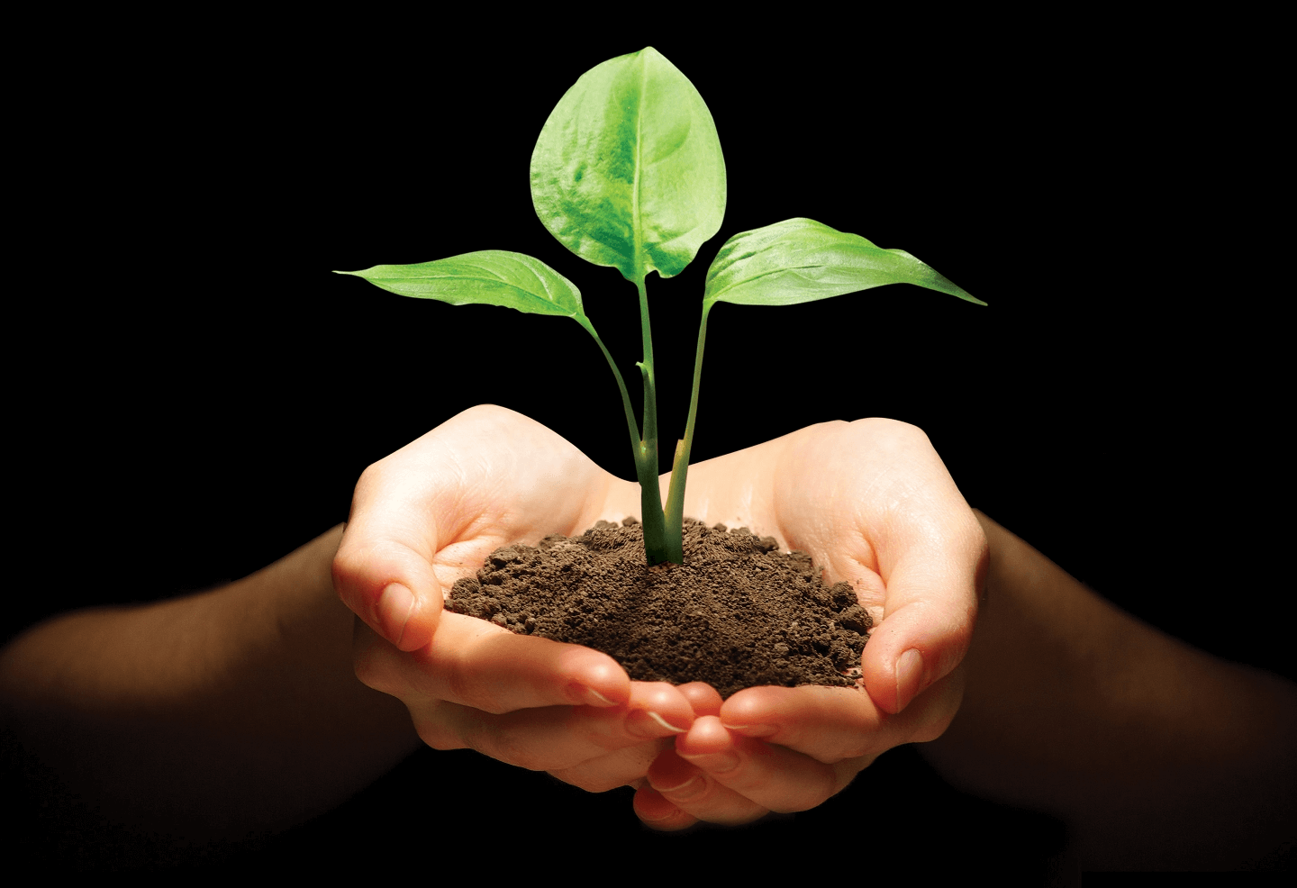 Work With Me – Your True North… Life Coach